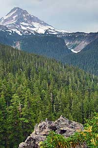 Boundary Clear Cut – Part Two | WyEast Blog