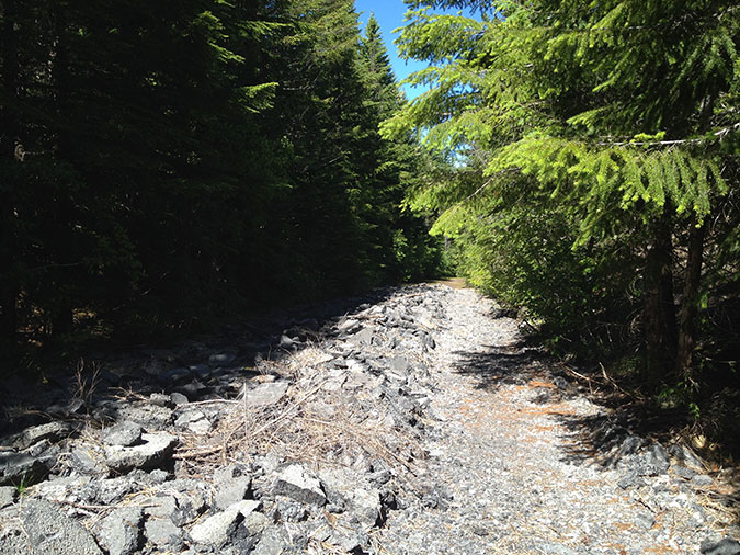 Proposal: Historic Mount Hood Loop State Trail (Part 1 of 2) | WyEast Blog