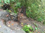 Middle Oneonta Falls | WyEast Blog