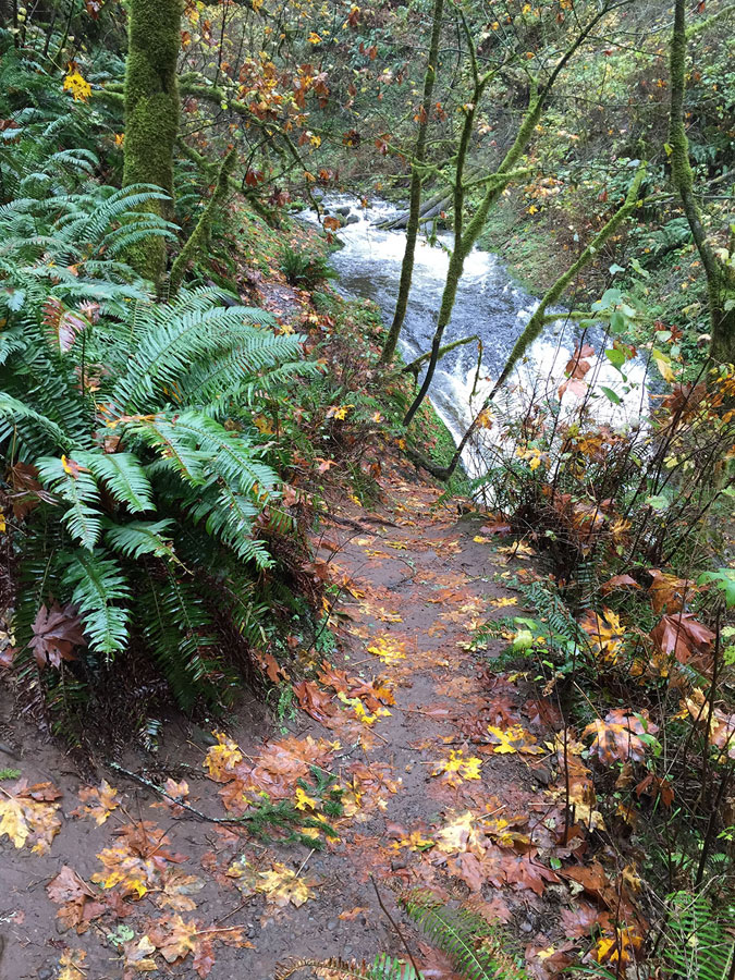 Proposal: Oneonta Loop Trail | WyEast Blog