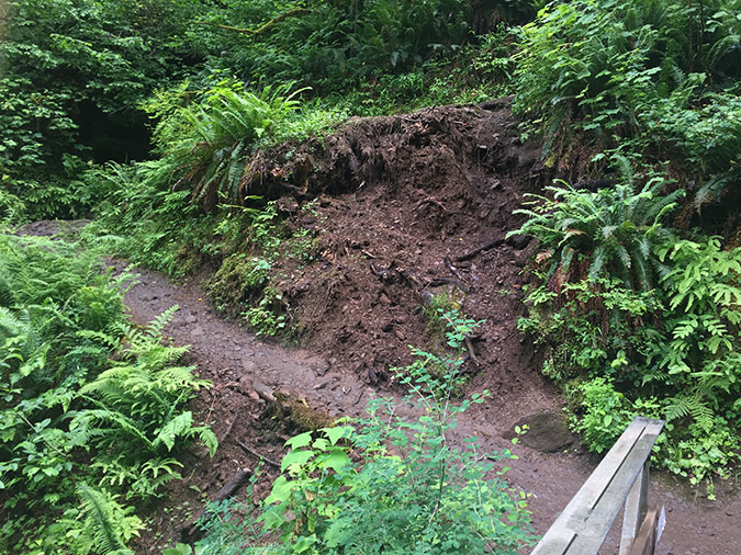 Middle Oneonta Falls | WyEast Blog