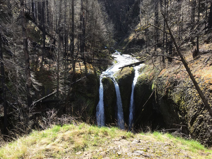 Middle Oneonta Falls | WyEast Blog