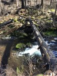 Middle Oneonta Falls | WyEast Blog