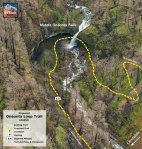 Middle Oneonta Falls | WyEast Blog