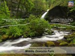 Middle Oneonta Falls | WyEast Blog