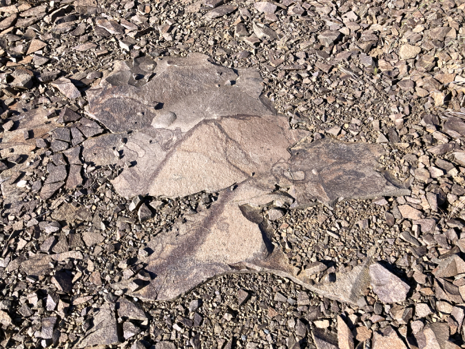 Mystery of the Desert Mounds | WyEast Blog