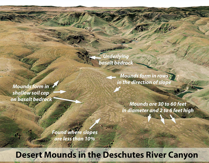 Mystery of the Desert Mounds | WyEast Blog