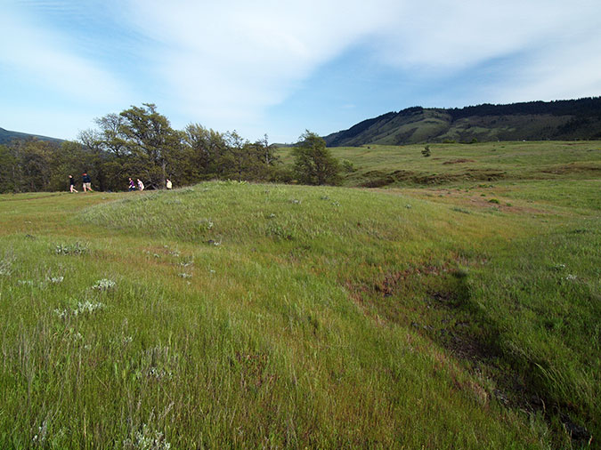 Mystery of the Desert Mounds | WyEast Blog