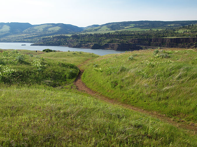 Mystery of the Desert Mounds | WyEast Blog