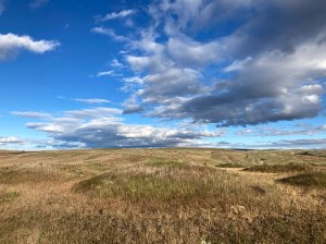 Mystery of the Desert Mounds | WyEast Blog