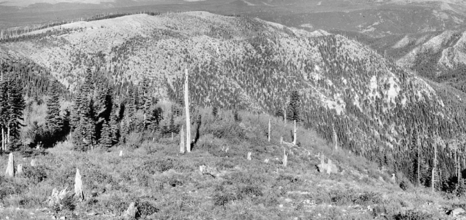 Let’s Take Back Wildcat Mountain! | WyEast Blog