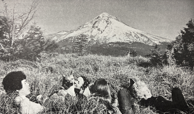 Let’s Take Back Wildcat Mountain! | WyEast Blog