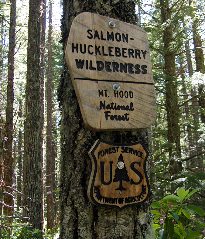 Let’s Take Back Wildcat Mountain! | WyEast Blog