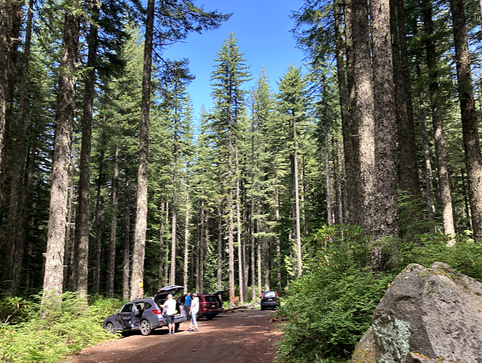 Let’s Take Back Wildcat Mountain! | WyEast Blog